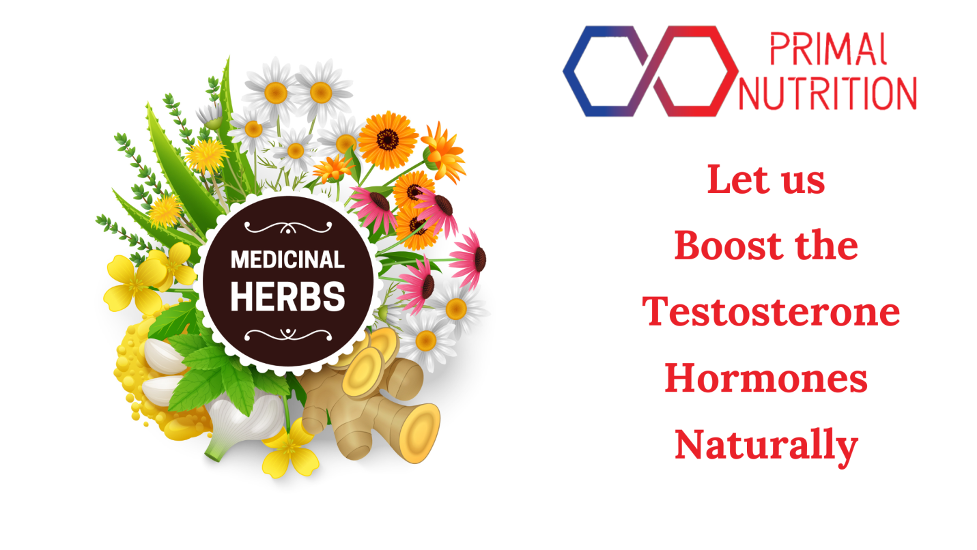 How to Boost Your Testosterone Naturally? – Primal Nutrition